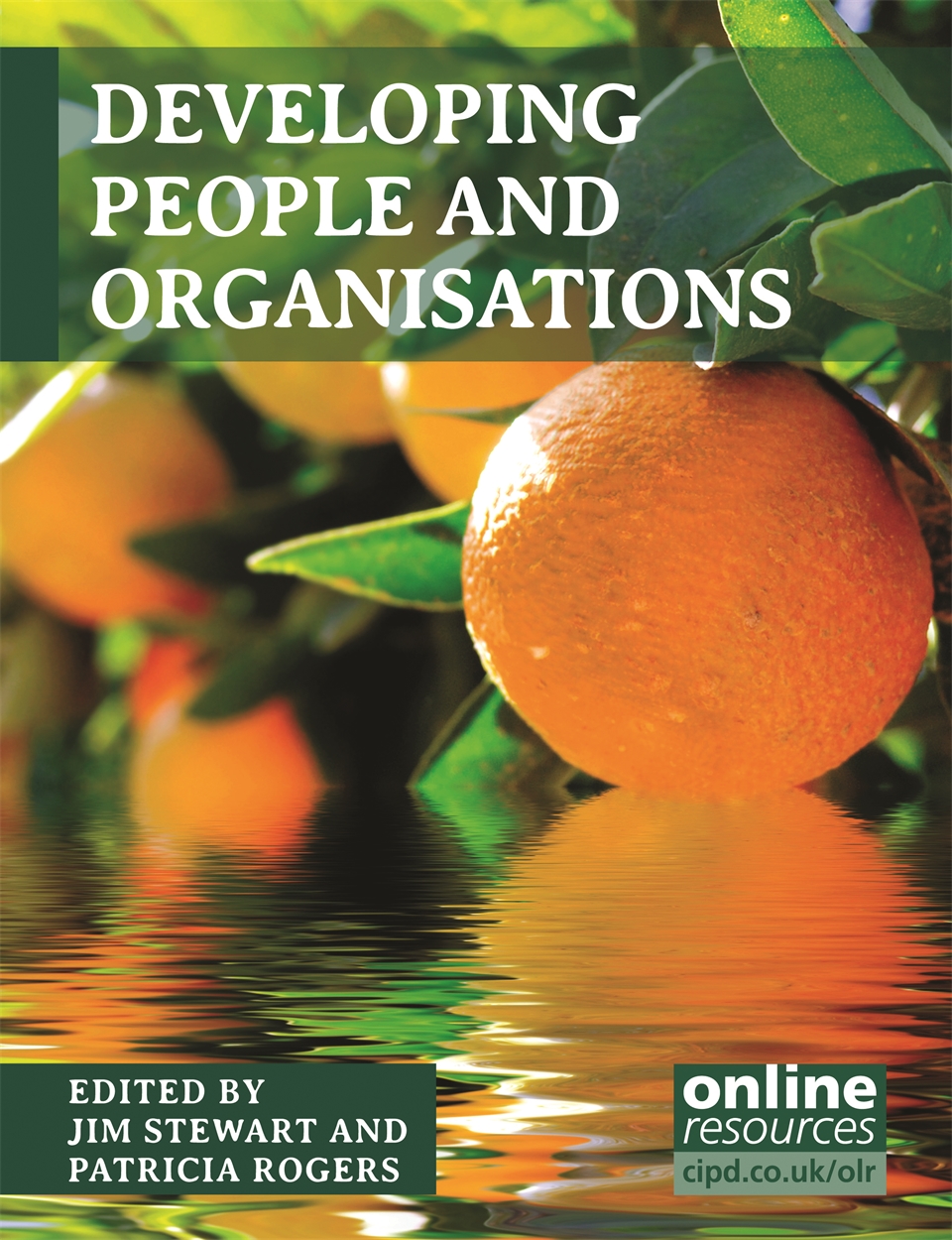 Developing People and Organisations