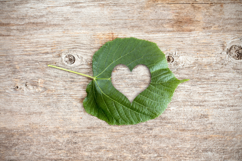 The Cheater Detection Module: Avoiding Green Scepticism from Consumers